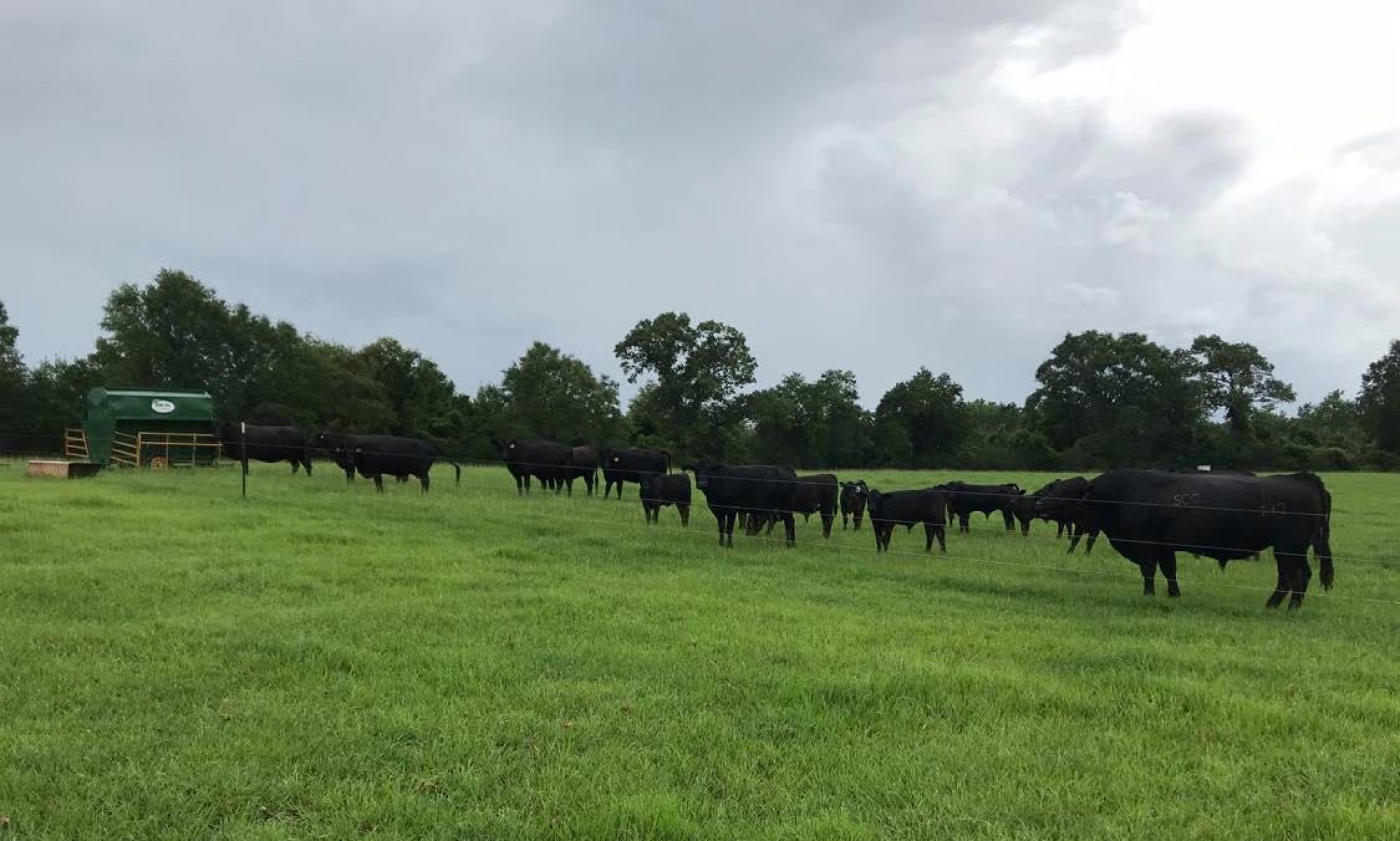 E&C Cattle Ranch Home - E&C Cattle Ranch